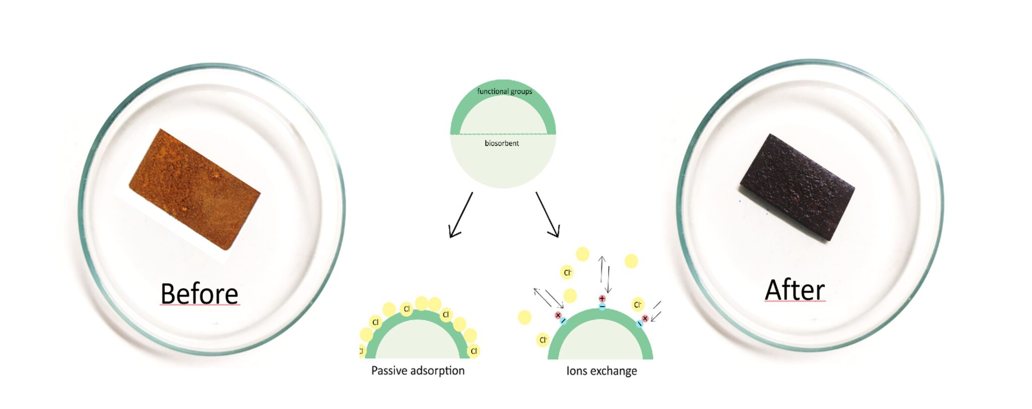 PROJECT OUTPUTS - GoGreen